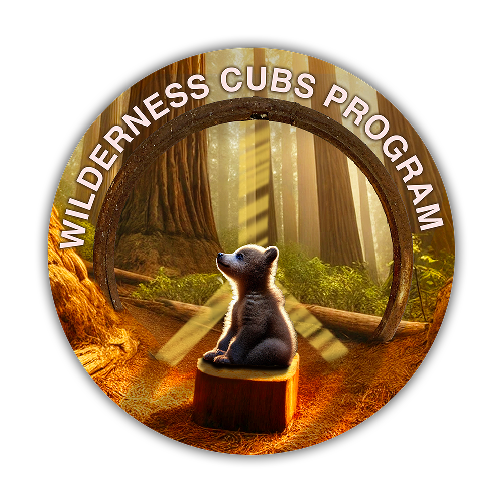 Wilderness Cubs Program | Ross Pre Kindergarten Program | Ross Outdoor Transitional Kindergarten ...